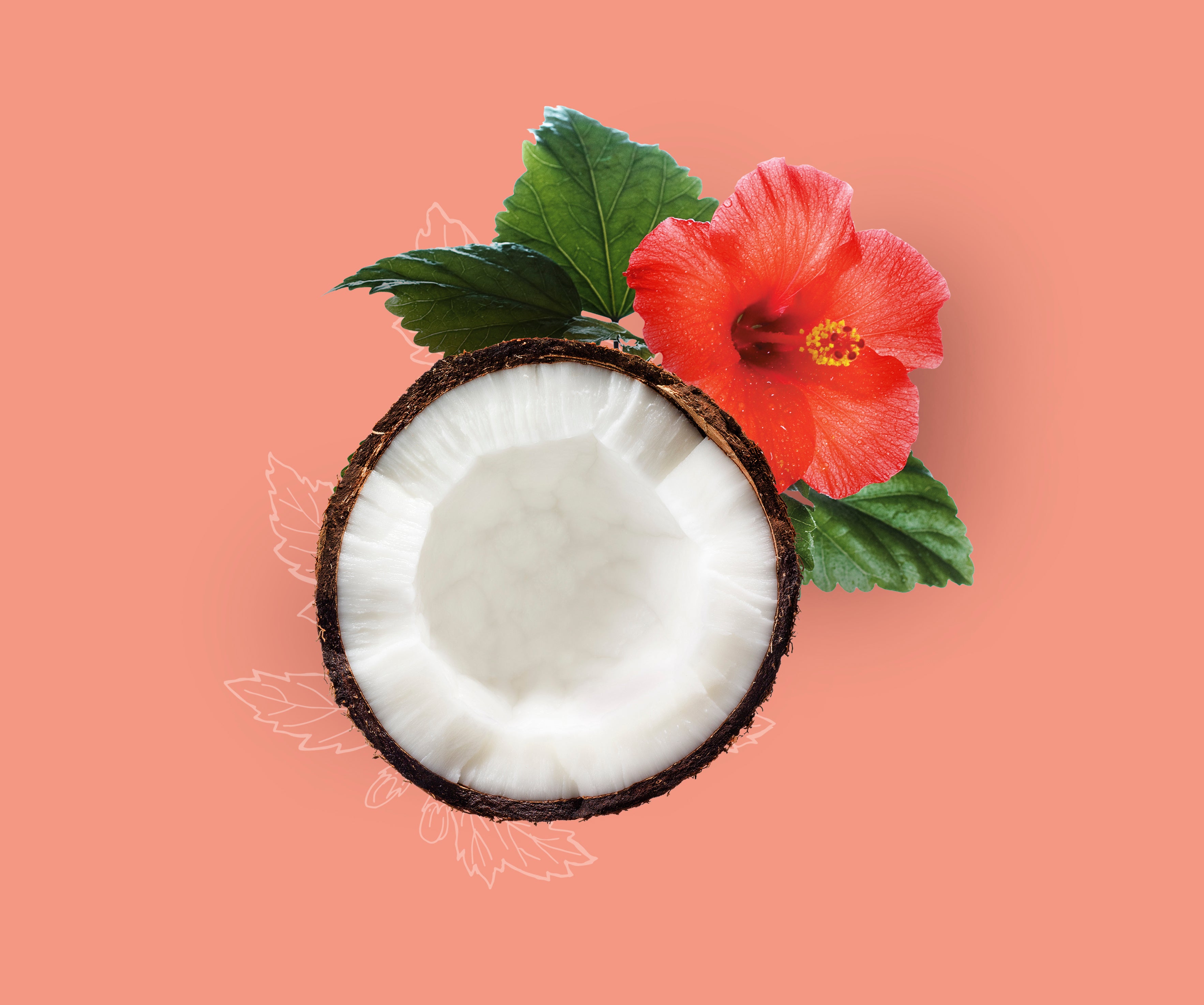 Coconut and Hibiscus | SheaMoisture – sheamoisture.com.au